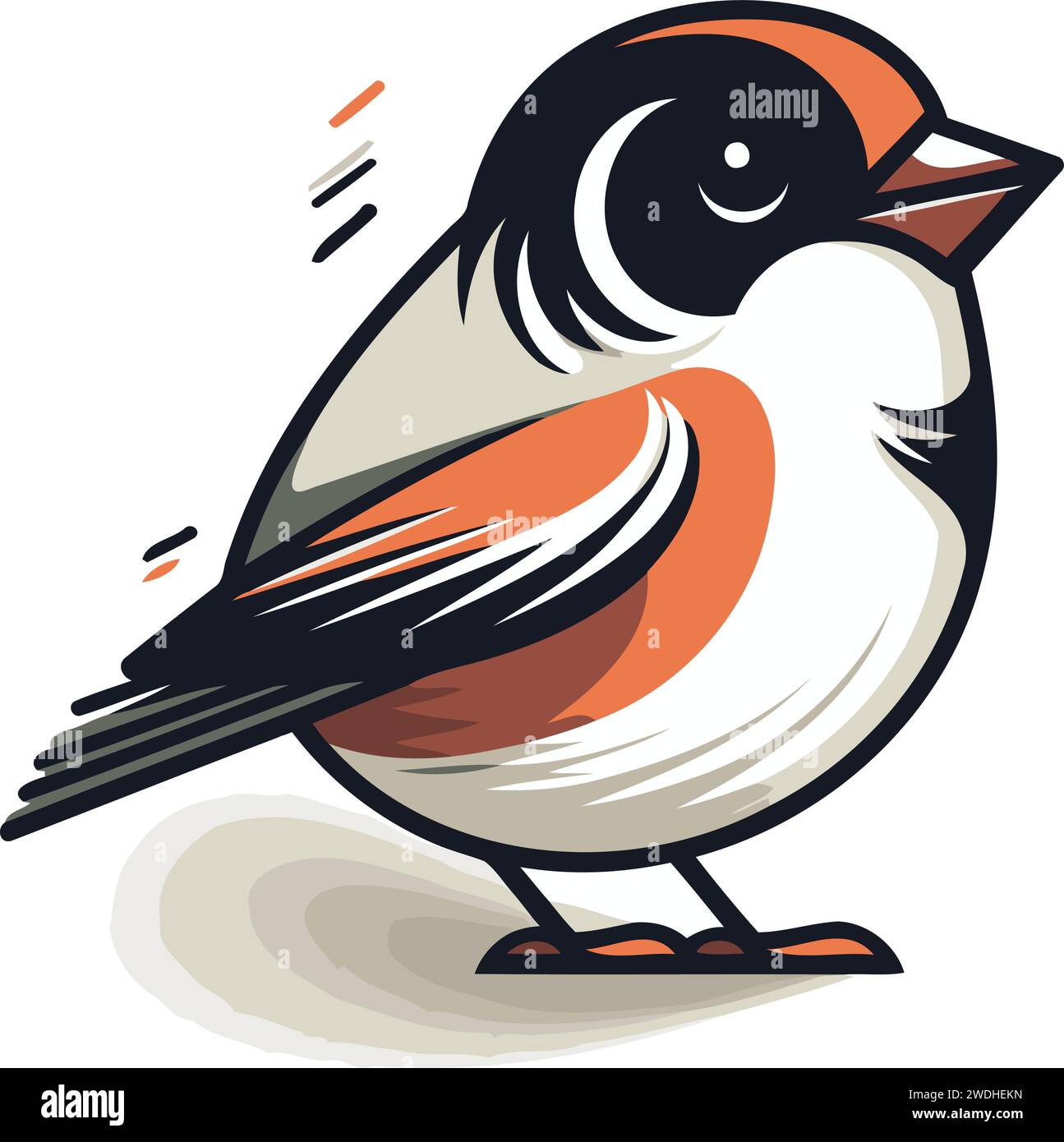Bullfinch. Vector illustration of a bullfinch isolated on white ...