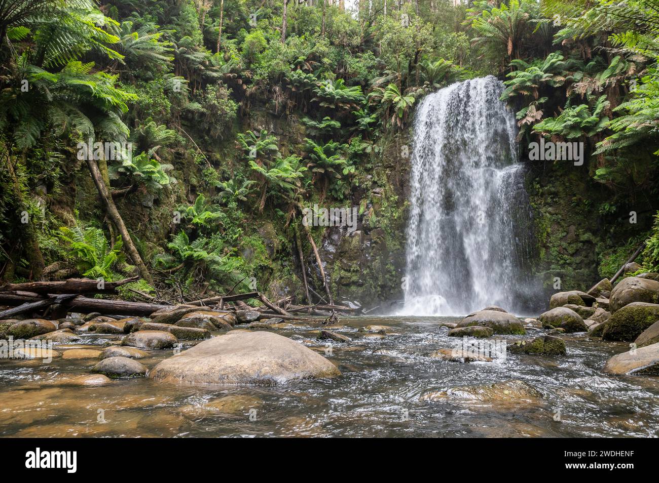Beauchamp Falls in Otway Forest Park Stock Photo - Alamy