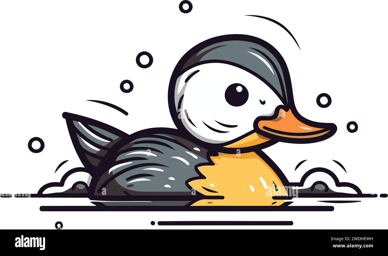 Mallard duck bird swimming Stock Vector Images - Alamy