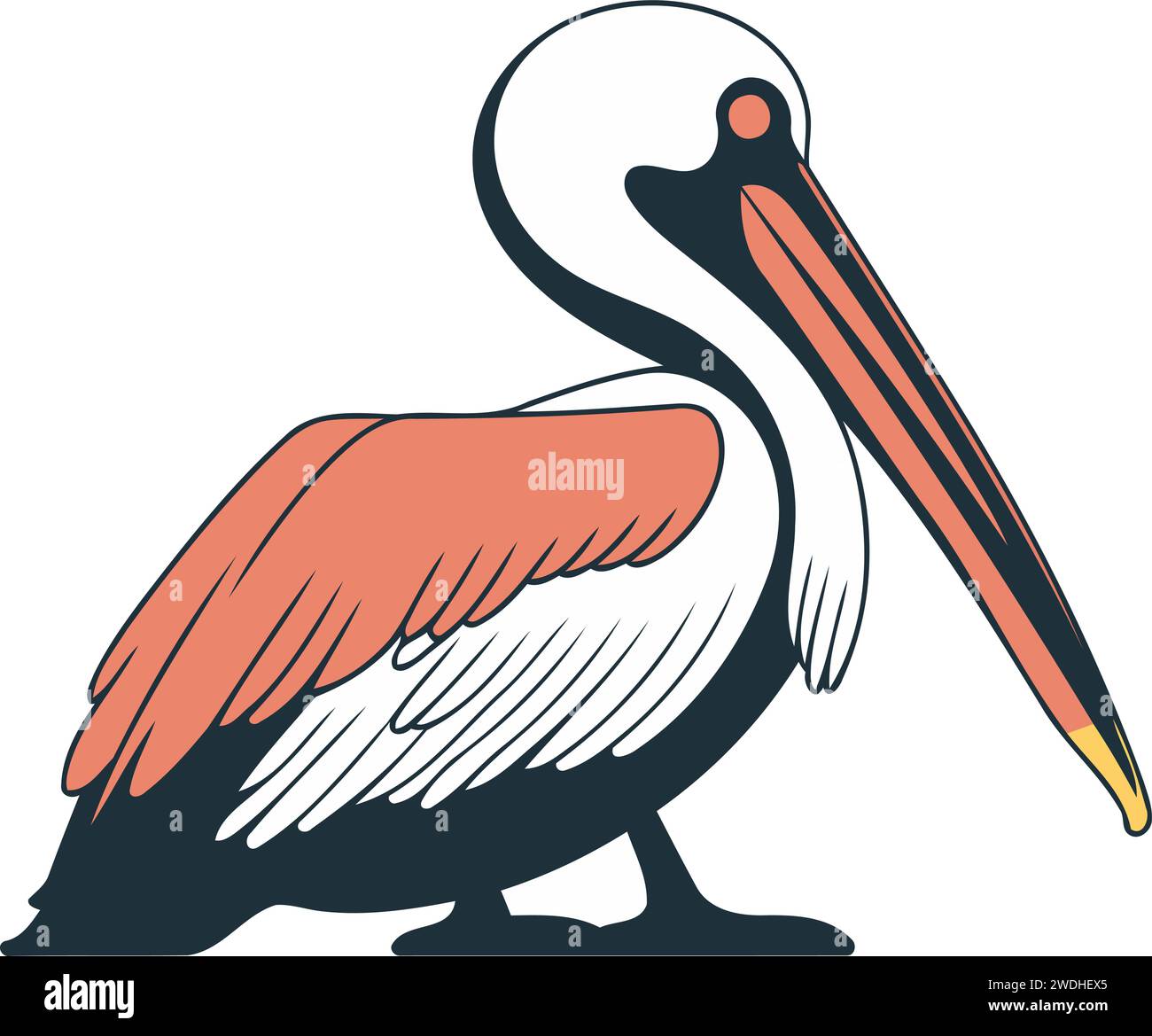 Pelican icon. Bird animal and nature theme. Isolated design. Vector ...