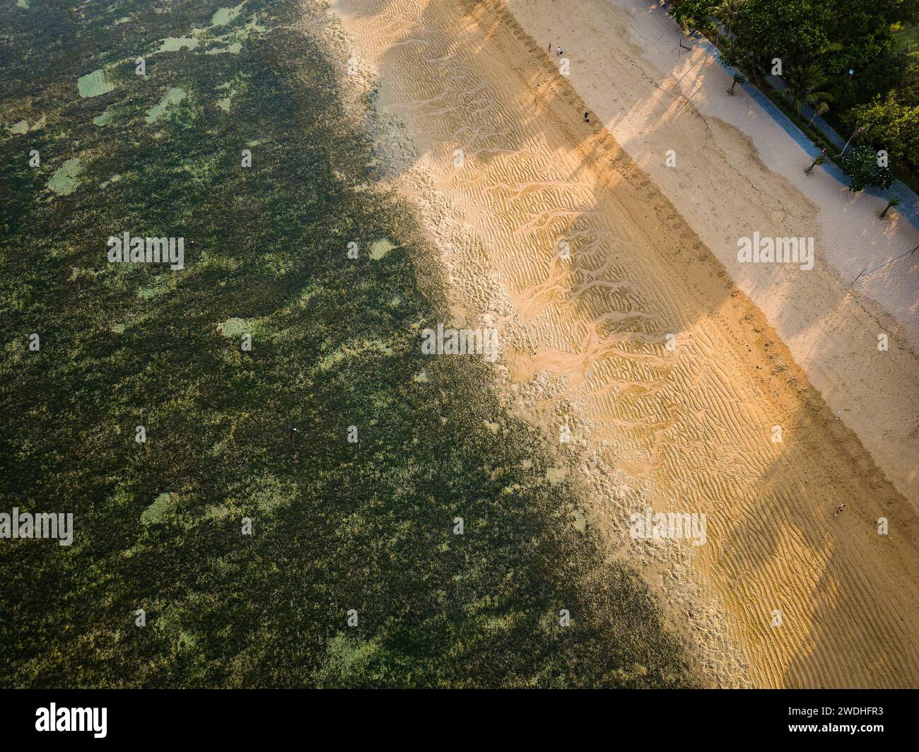 Top down aerial view of a shallow ocean and tropical beach in later ...