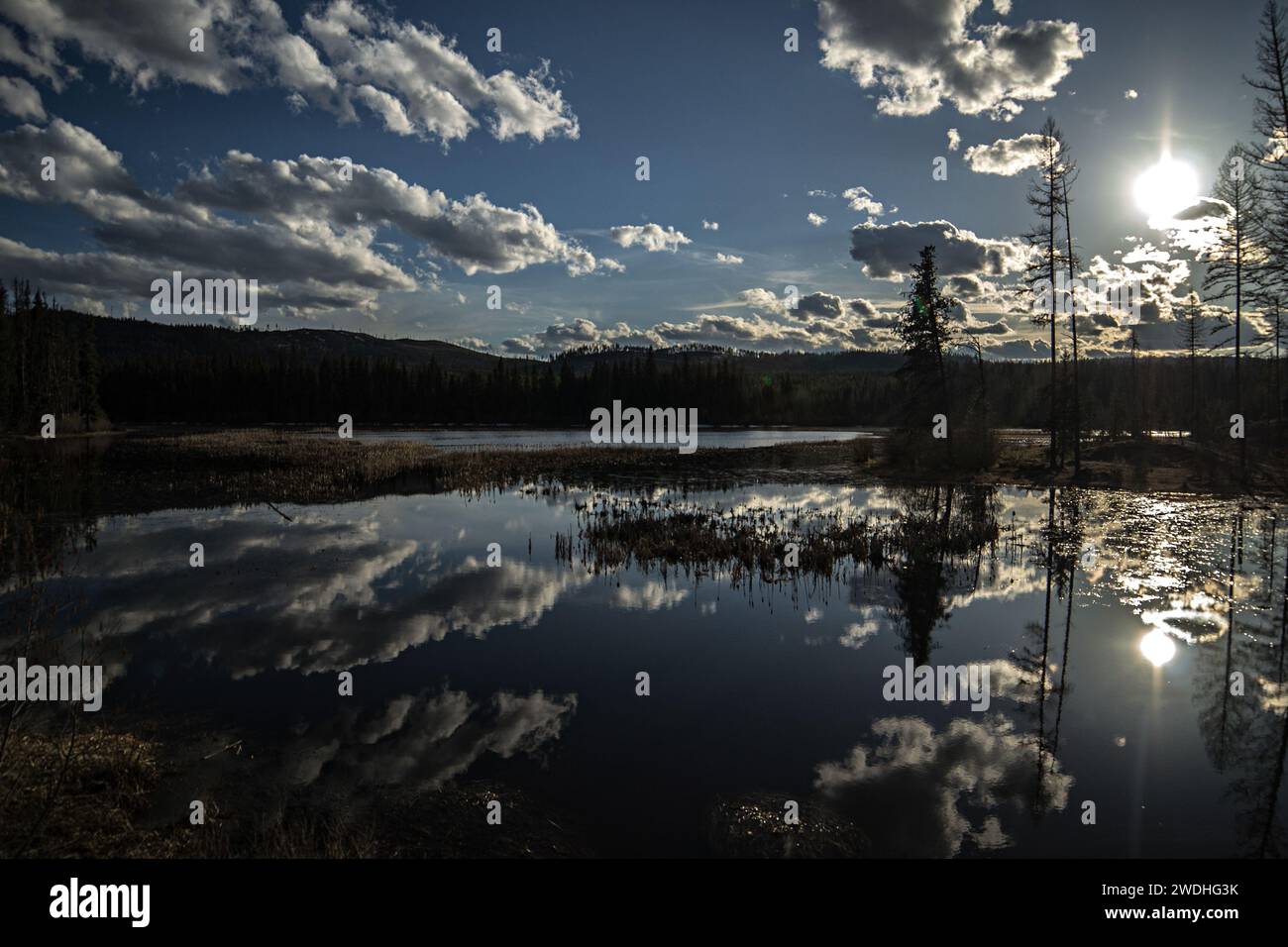Rustic Roots Stock Photography Stock Photo - Alamy