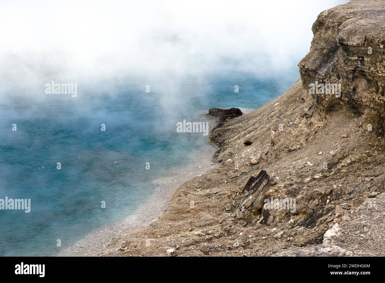 Tree roots rock outcrop hi-res stock photography and images - Alamy