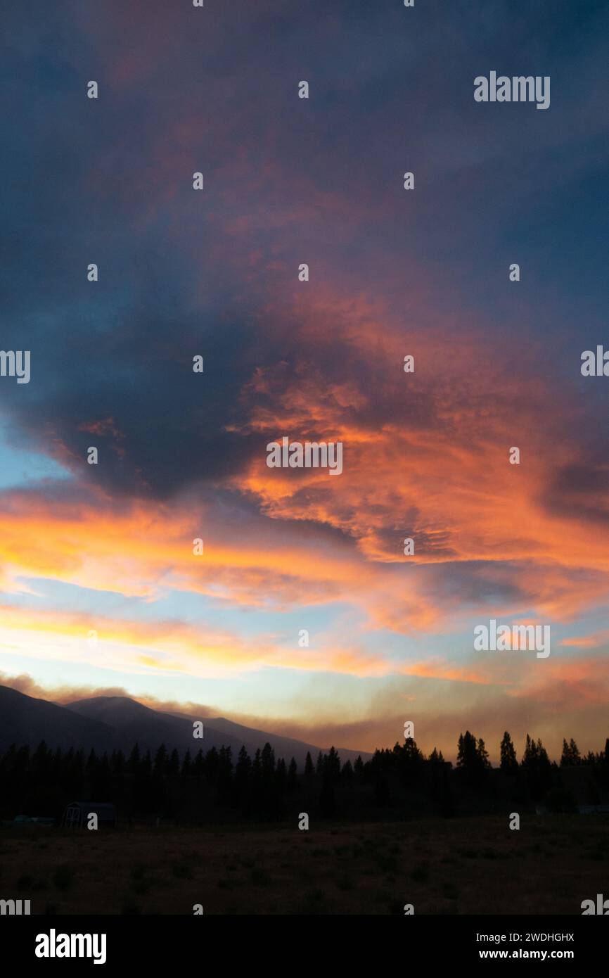 Rustic Roots Stock Photography Stock Photo - Alamy