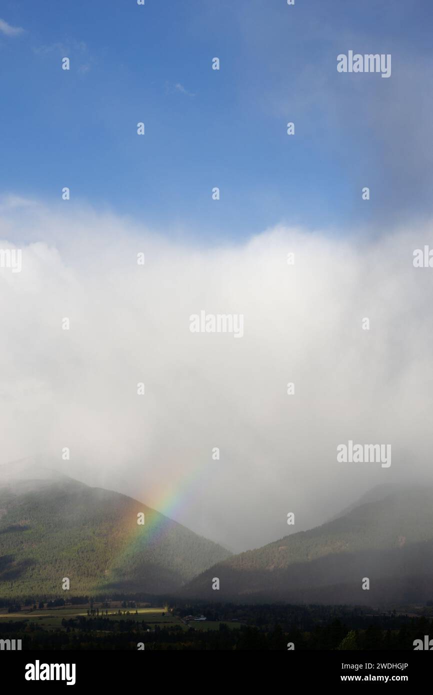 Rustic Roots Stock Photography Stock Photo - Alamy