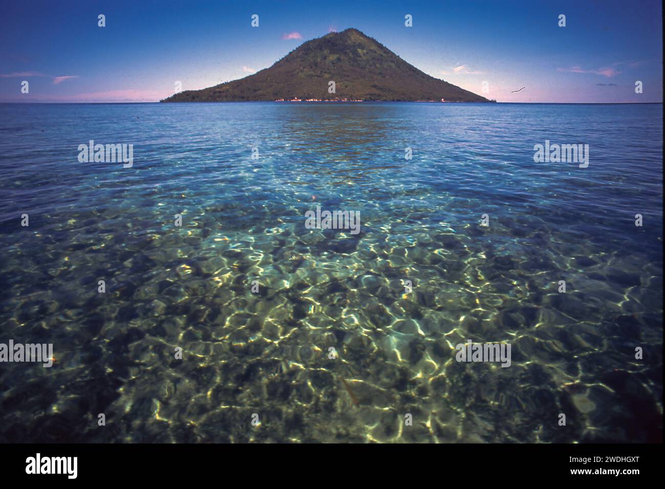 Coral with Manado Tua volcano, taken in 1995, Bunaken Island; near ...