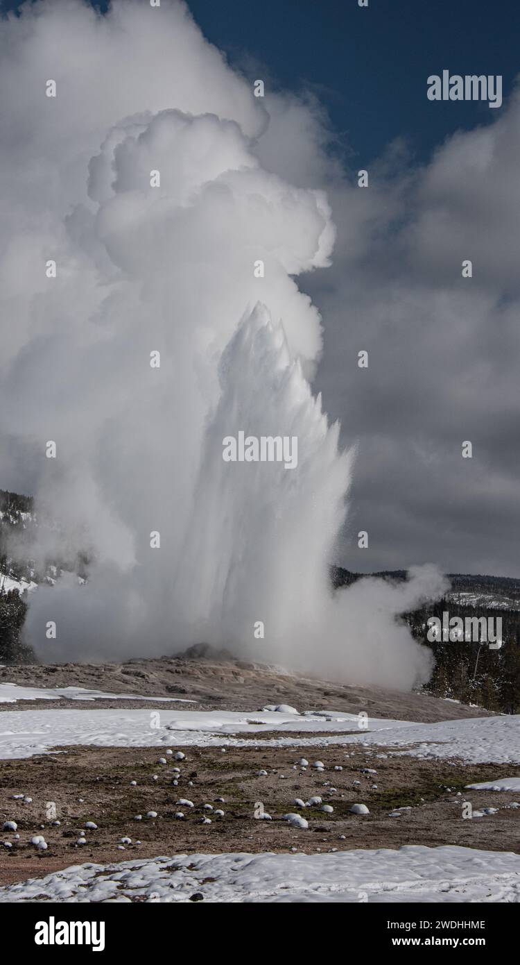 Rustic Roots Stock Photography Stock Photo - Alamy