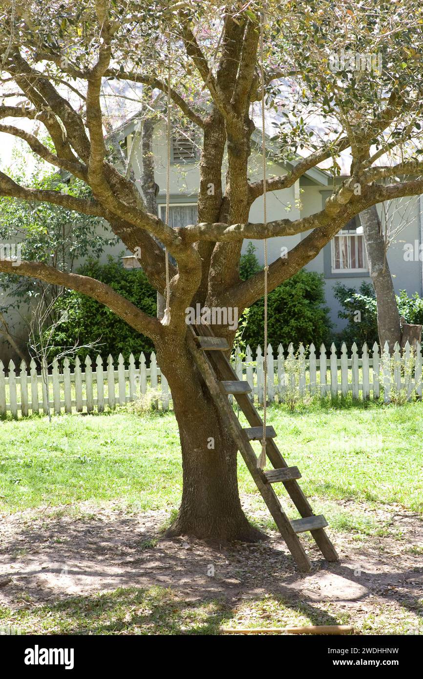 RELEASE DATE: May 27, 2011. TITLE: The Tree of Life. STUDIO: Cottonwood ...