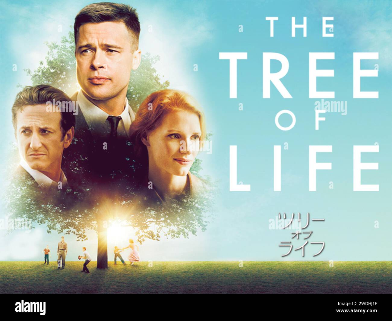 RELEASE DATE: May 27, 2011. TITLE: The Tree of Life. STUDIO: Cottonwood ...