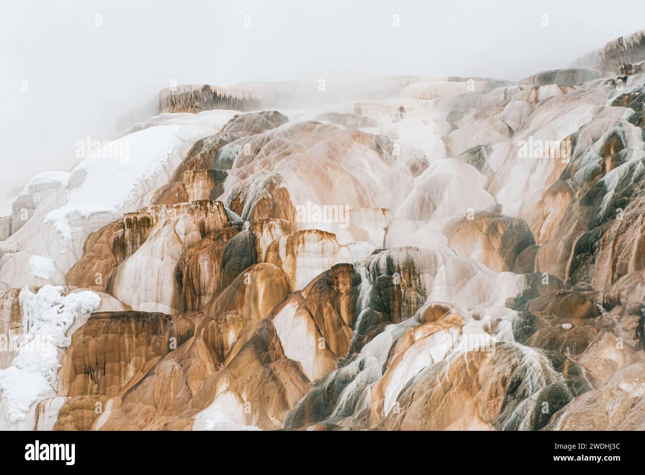 Rustic Roots Stock Photography Stock Photo - Alamy