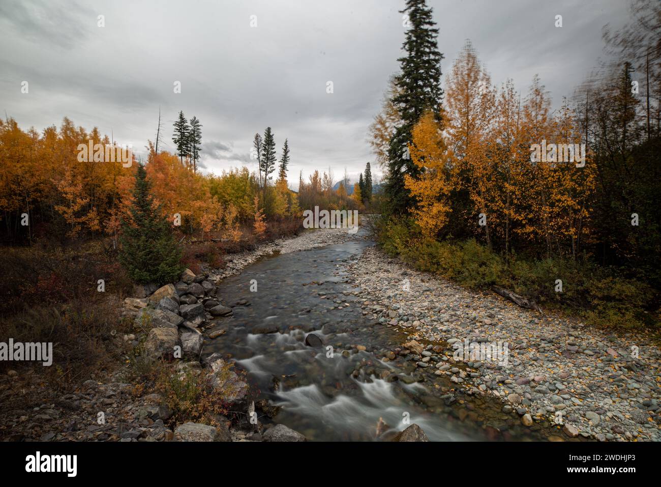 Rustic trail wetland hi-res stock photography and images - Alamy