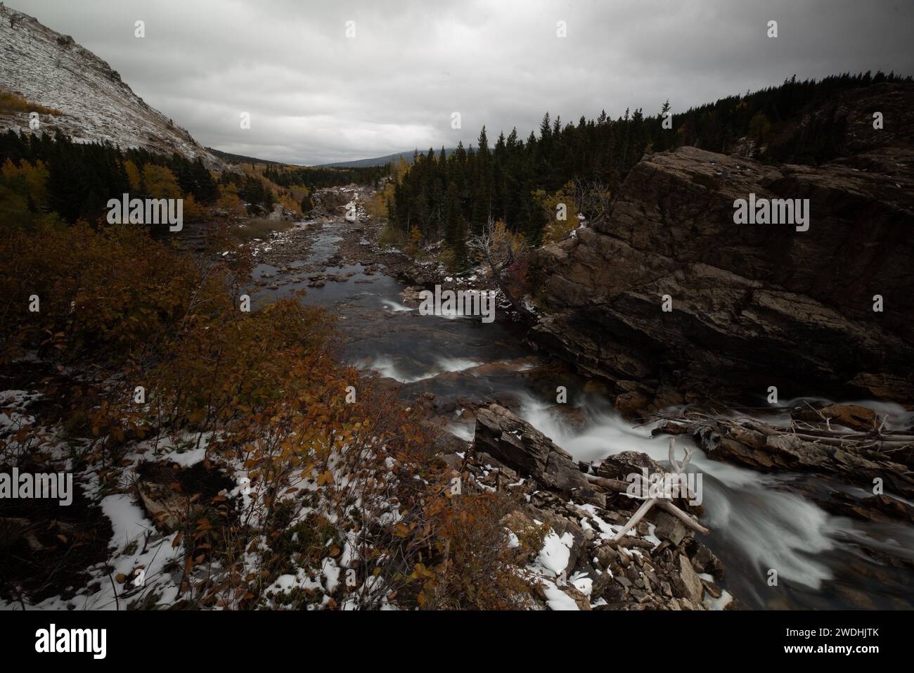 Rustic Roots Stock Photography Stock Photo - Alamy