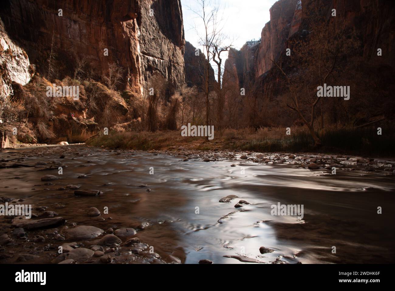 Rustic Roots Stock Photography Stock Photo - Alamy