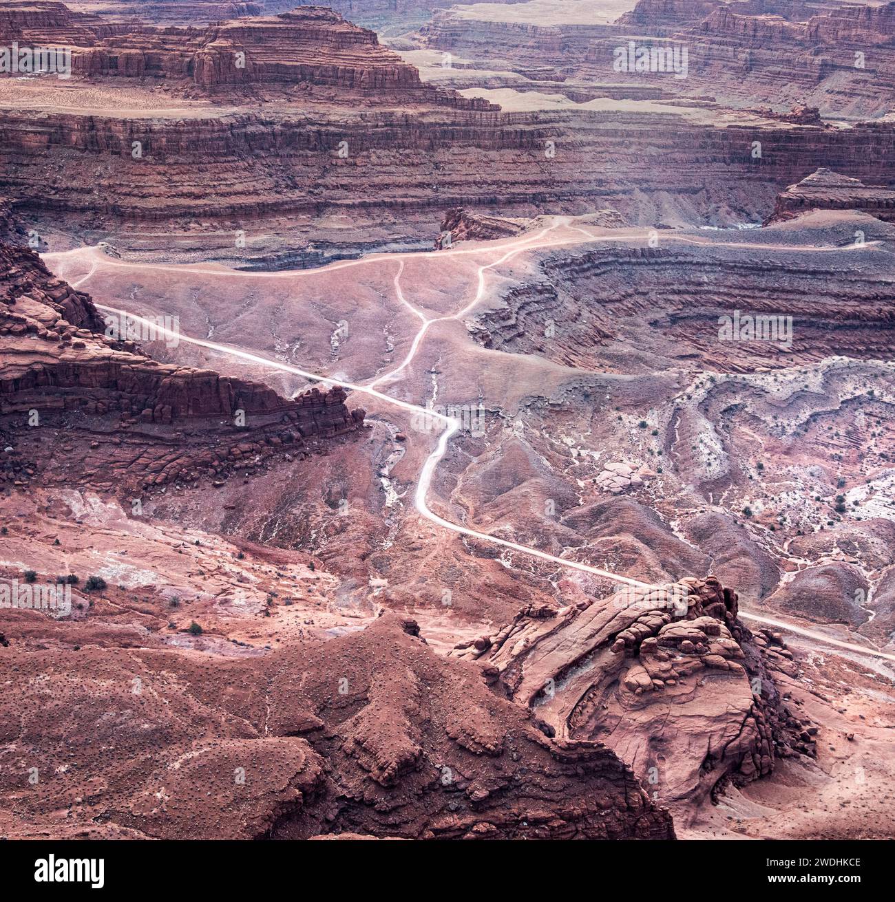 Rustic Roots Stock Photography Stock Photo - Alamy