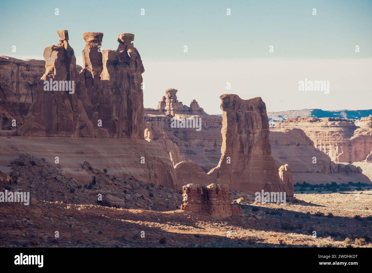 Sand desert roots erosion hi-res stock photography and images - Alamy