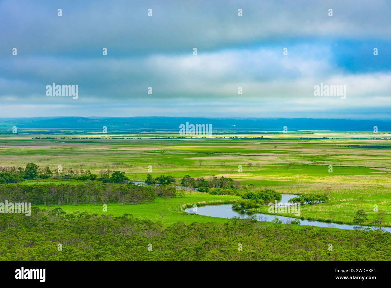 Kushiro Shitsugen national park in Hokkaido in summer sunny day. The ...