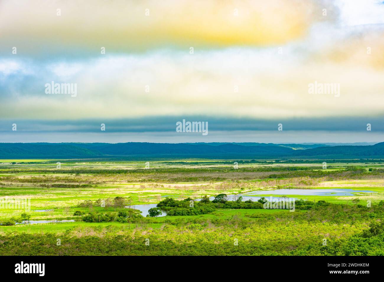 Kushiro Shitsugen national park in Hokkaido in summer sunny day. The ...