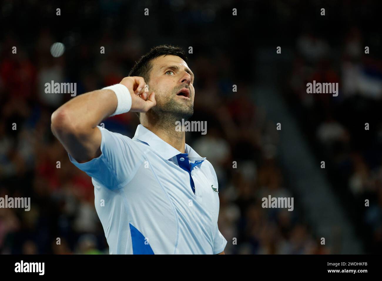 Melbourne, Victoria, Australia. 21st Jan, 2024. Novak Djokovic (SRB) in ...