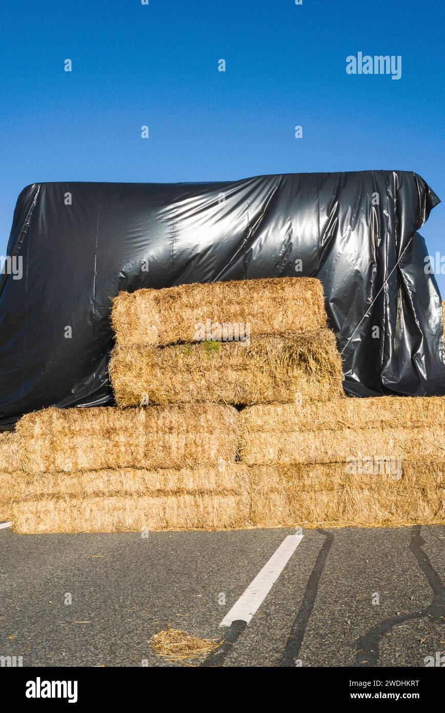 Carbonne, France. 20th Jan, 2024. Bales of hay in the middle of the A64 ...