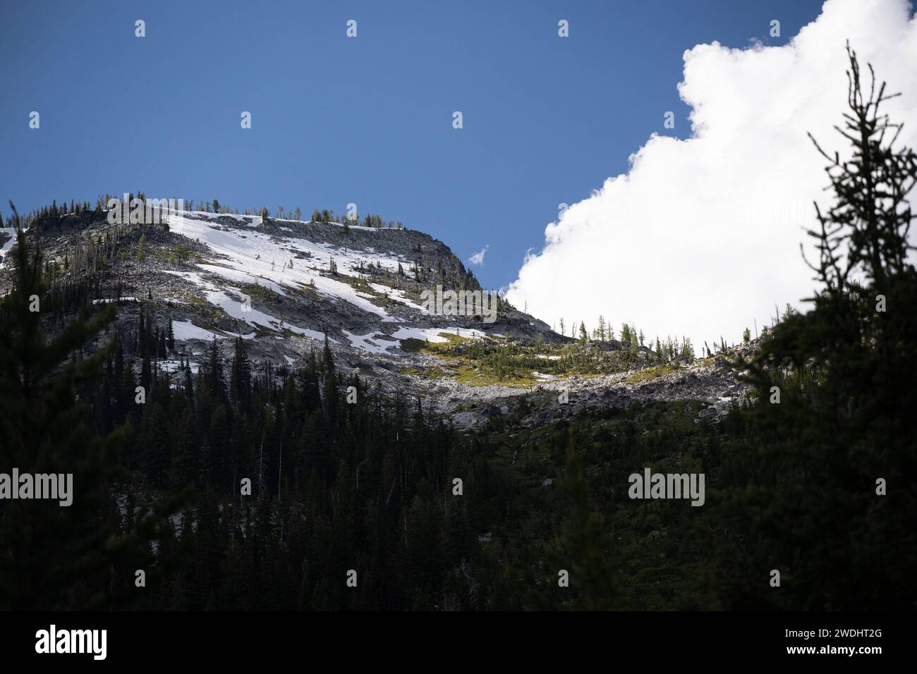 Rustic Roots Stock Photography Stock Photo - Alamy