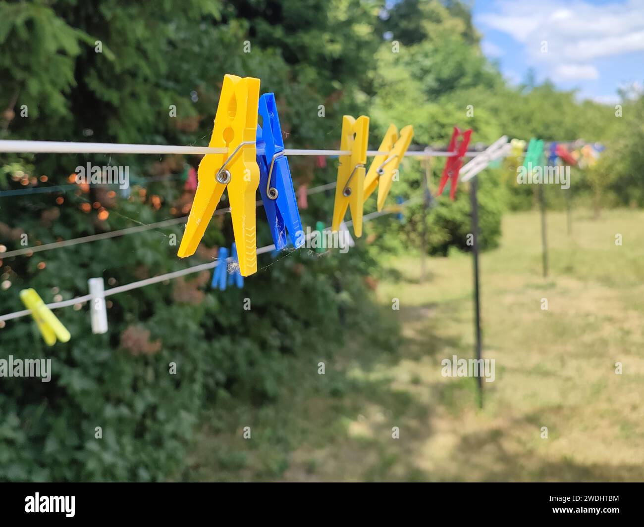 Colored laundry clothespins plastic. Hanging on clothesline, outdoors ...