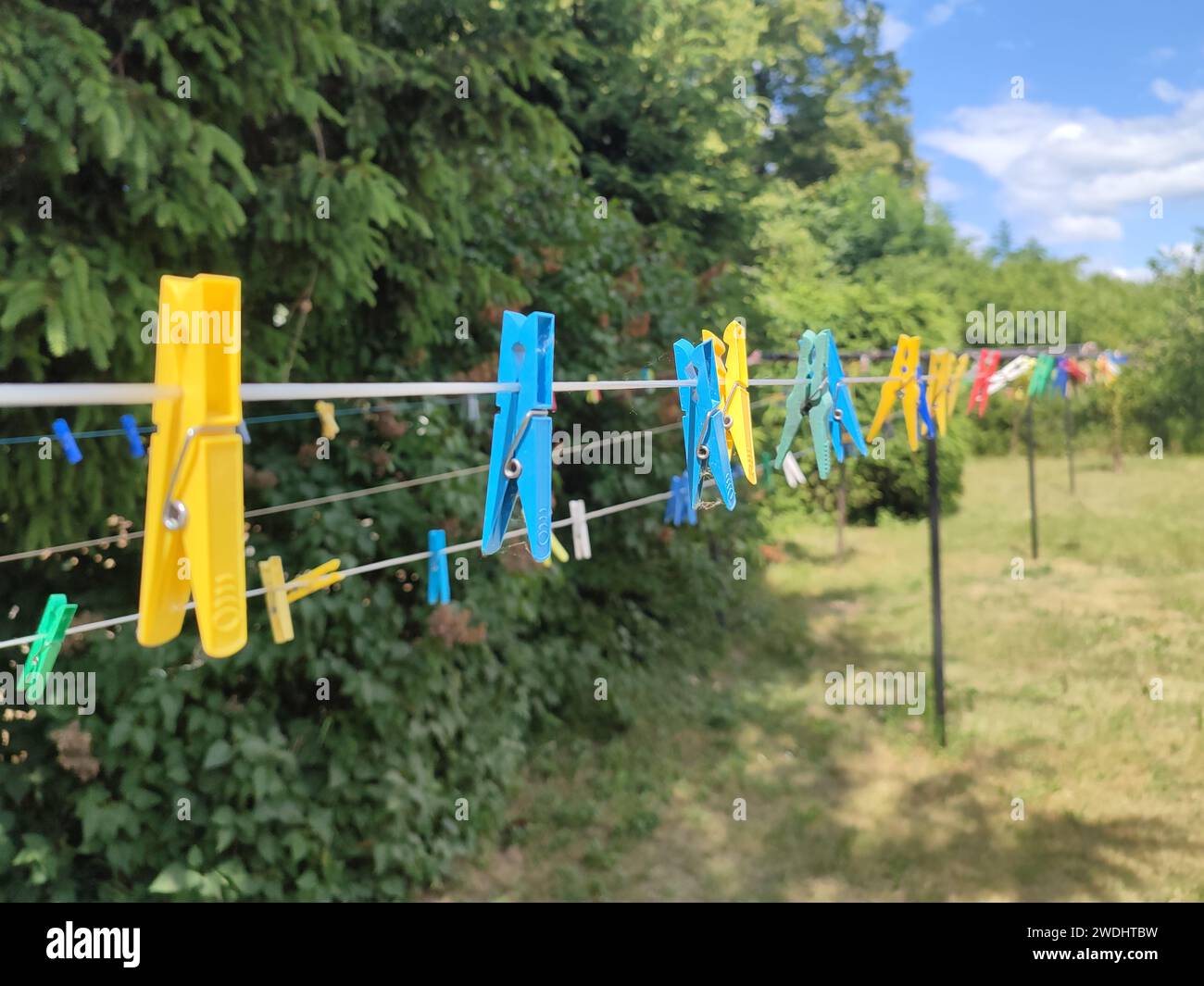 Colored laundry clothespins plastic. Hanging on clothesline, outdoors ...