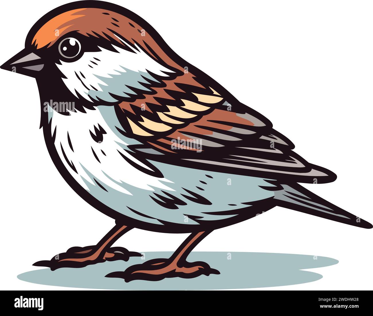 Sparrow bird clipart Cut Out Stock Images & Pictures - Alamy