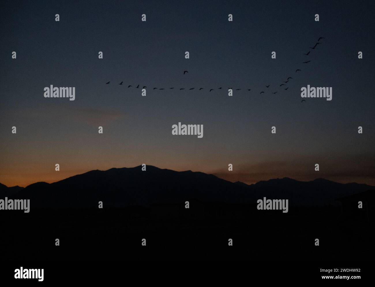 Rustic Roots Stock Photography Stock Photo - Alamy