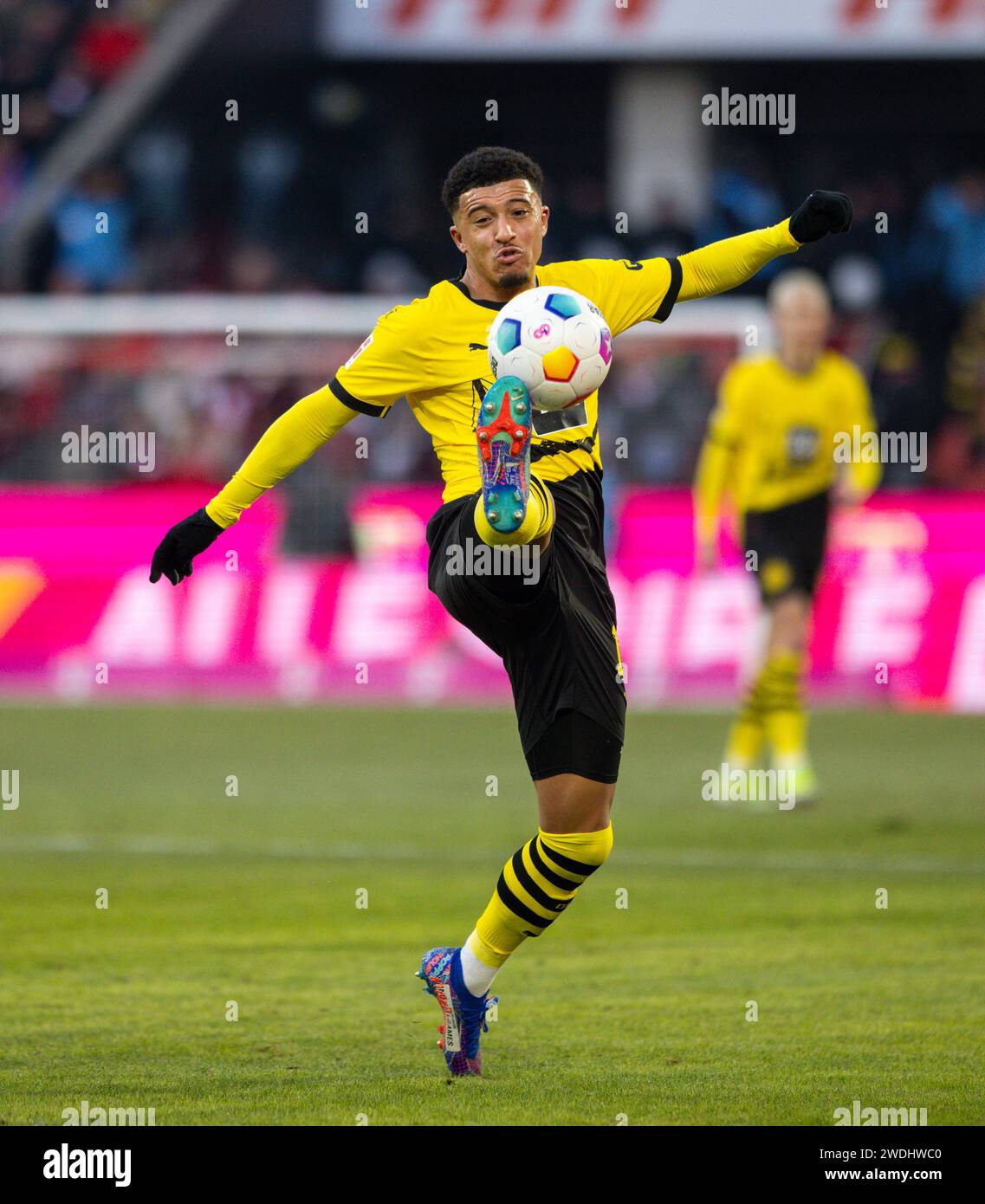 Cologne, Germany. 20th Jan 2024. Jadon Sancho (BVB) 1. FC Köln - Borussia Dortmund 20.01.2024 ...