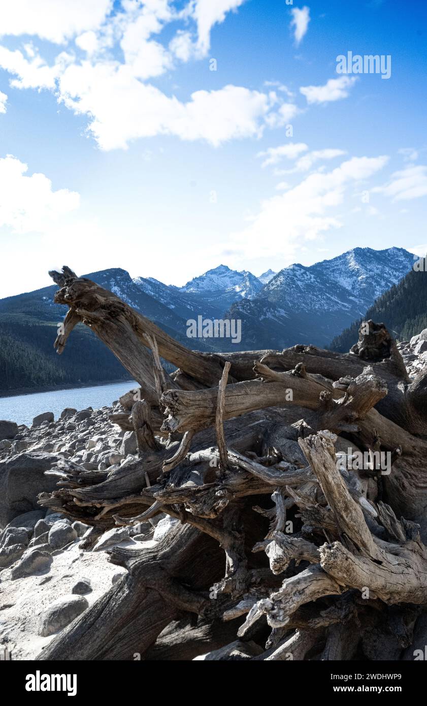 Rustic Roots Stock Photography Stock Photo - Alamy