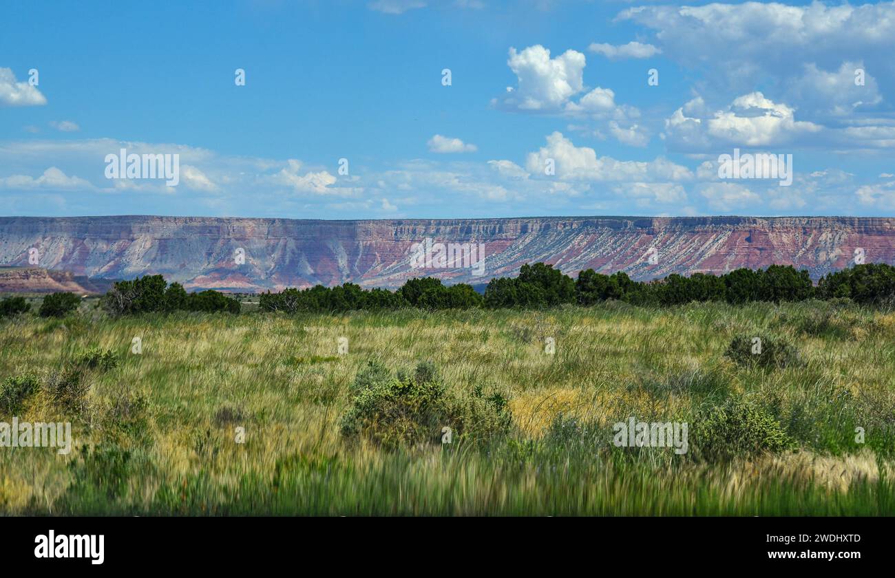 Beautiful Fields by the Mountains of the Grand Canyon, Arizona Stock ...