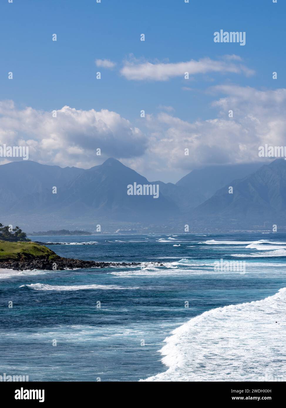Rustic Roots Stock Photography Stock Photo - Alamy
