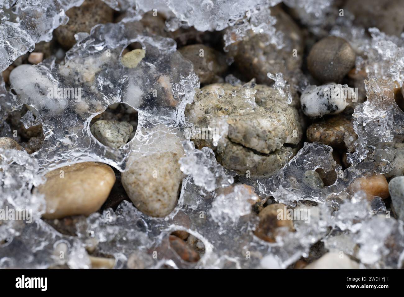 Rustic Roots Stock Photography Stock Photo - Alamy