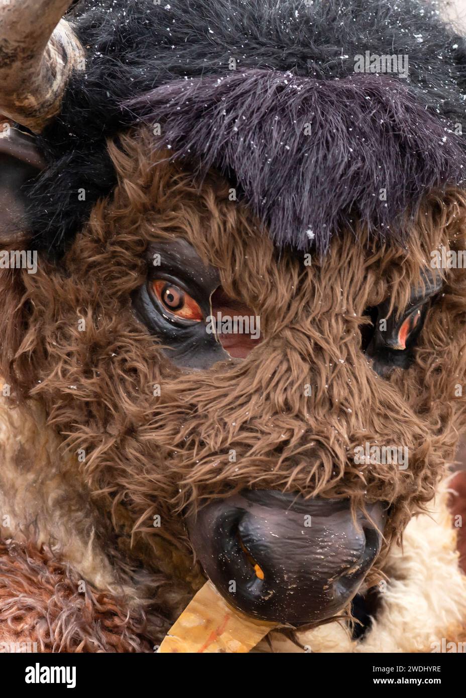 Close up of participant eyes as seen through a buffalo bison mask ...