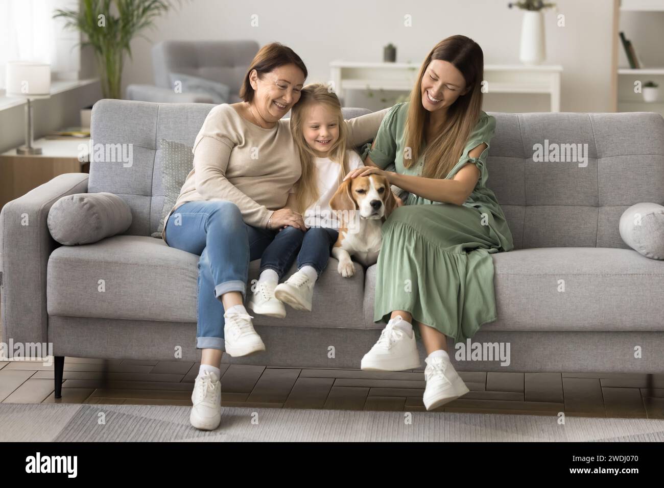 Happy senior grandma, mom and little kid girl stroking dog Stock Photo ...