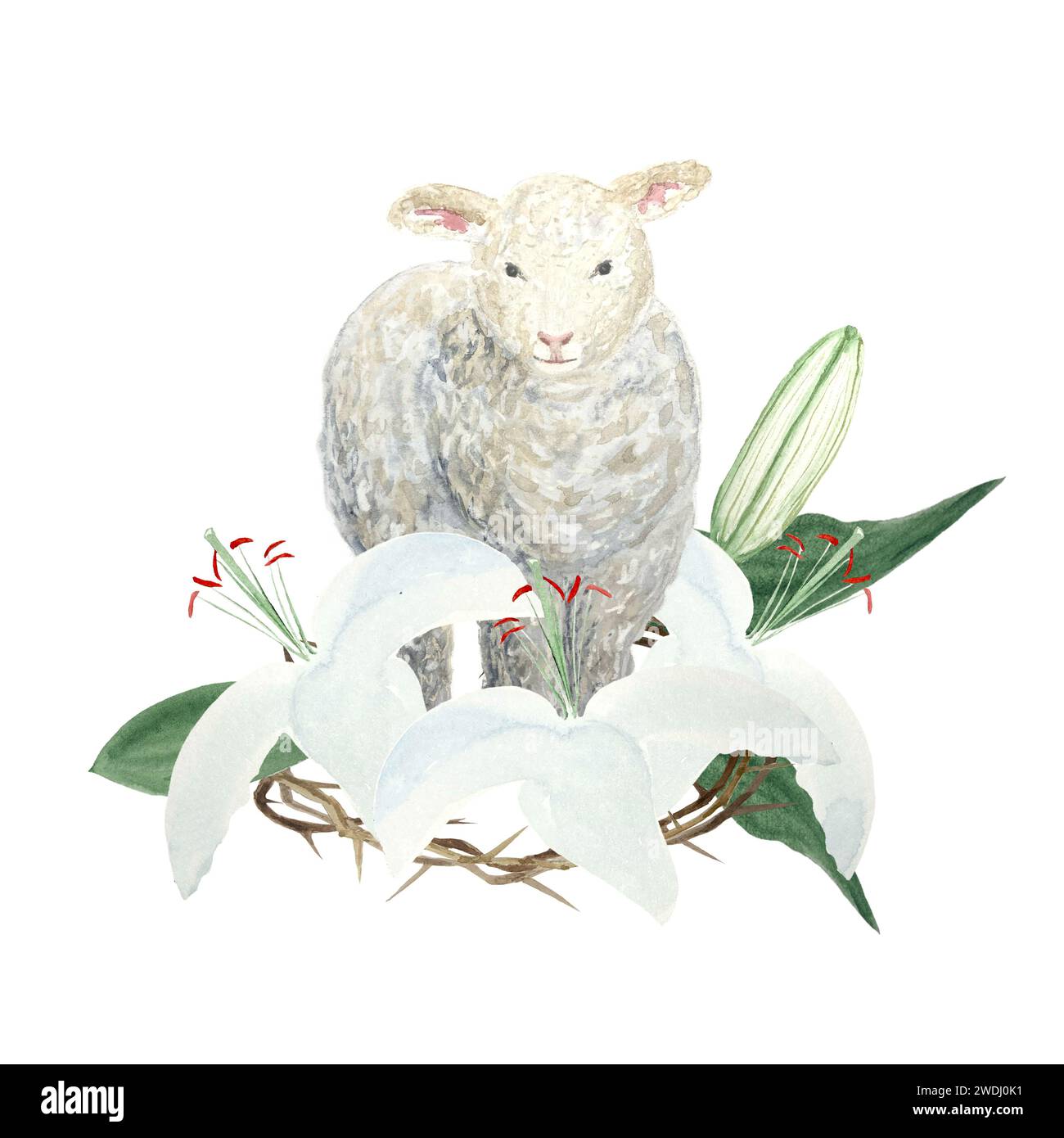 Watercolor lamb crown of thorns and lilies for Easter, holy Thursday ...