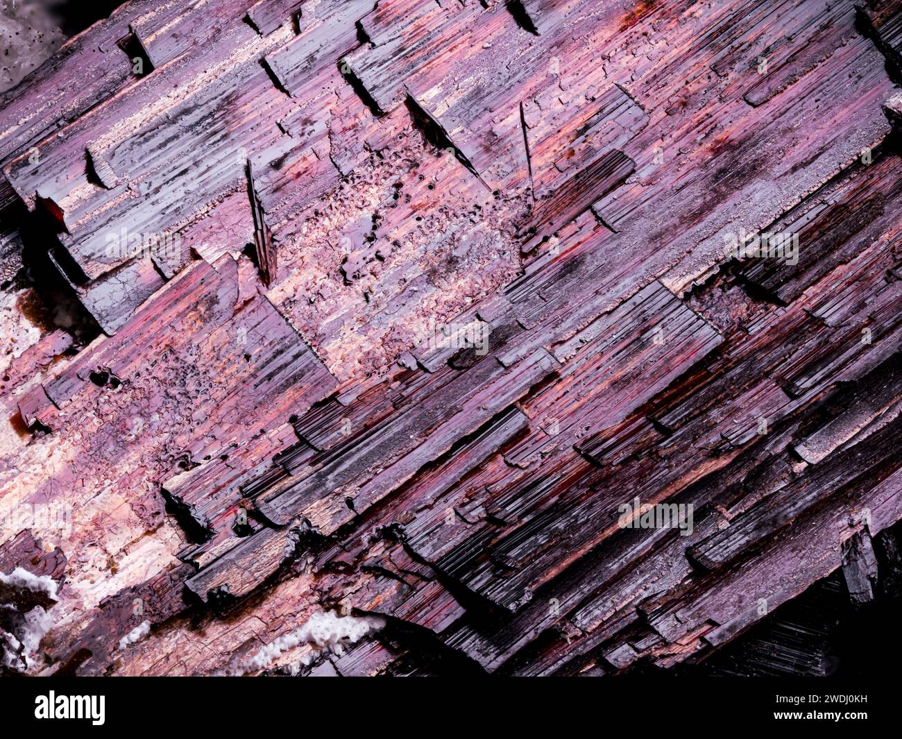 Hubnerite (from Adams mine, San Juan Co., Colorado, USA) macro ...