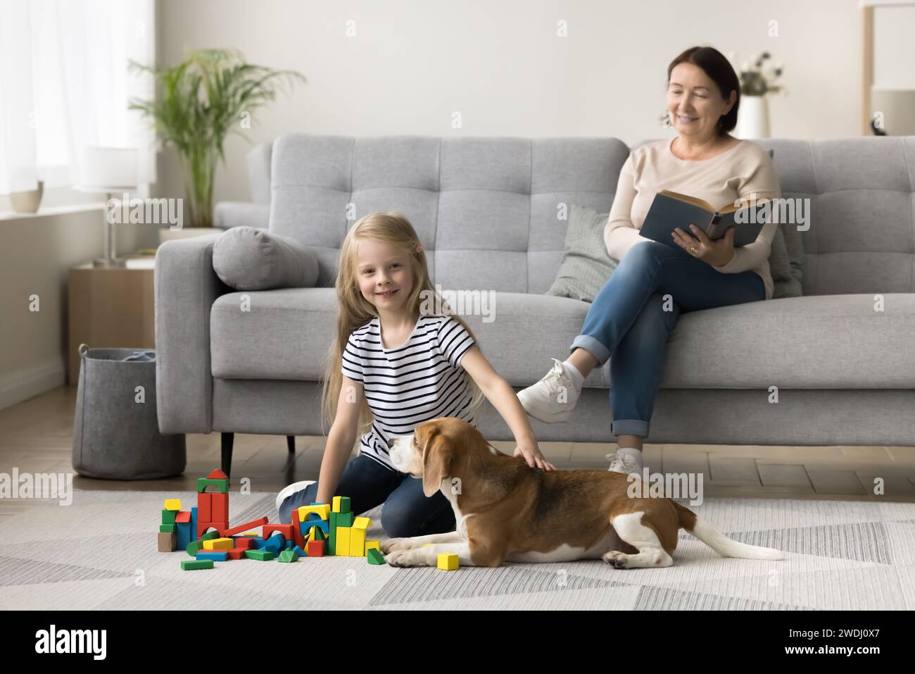 Caring dog owner grandma watching little kid from couch Stock Photo - Alamy