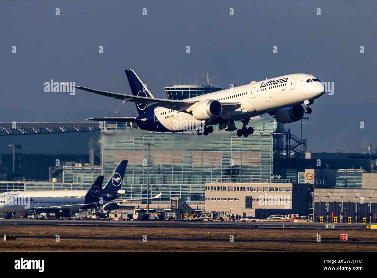 Flugzeug am Frankfurt Airport, Flughafen Fraport. D-ABPD, LUFTHANSA ...