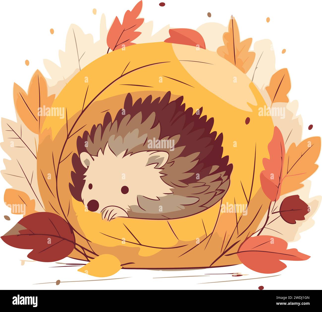 Hedgehog circle hi-res stock photography and images - Alamy