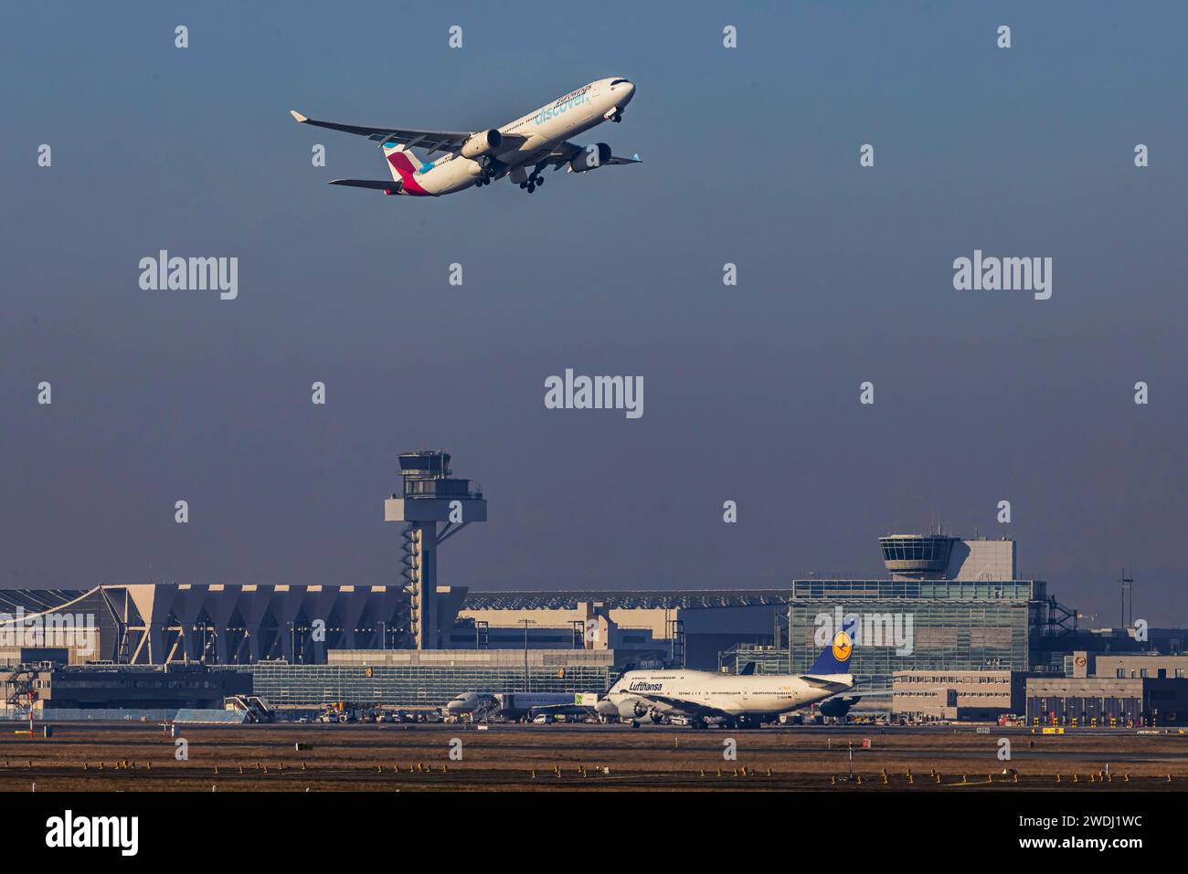 Flugzeug am Frankfurt Airport, Flughafen Fraport. D-AIKA, DISCOVER AIRLINES, AIRBUS A330-343 ...