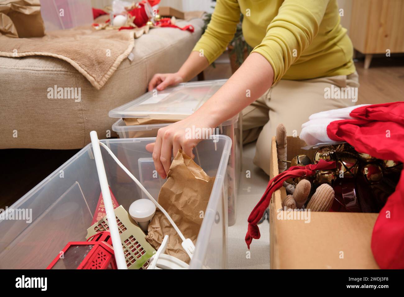 Cleaning up Christmas tree decorations in the home room after Christmas ...