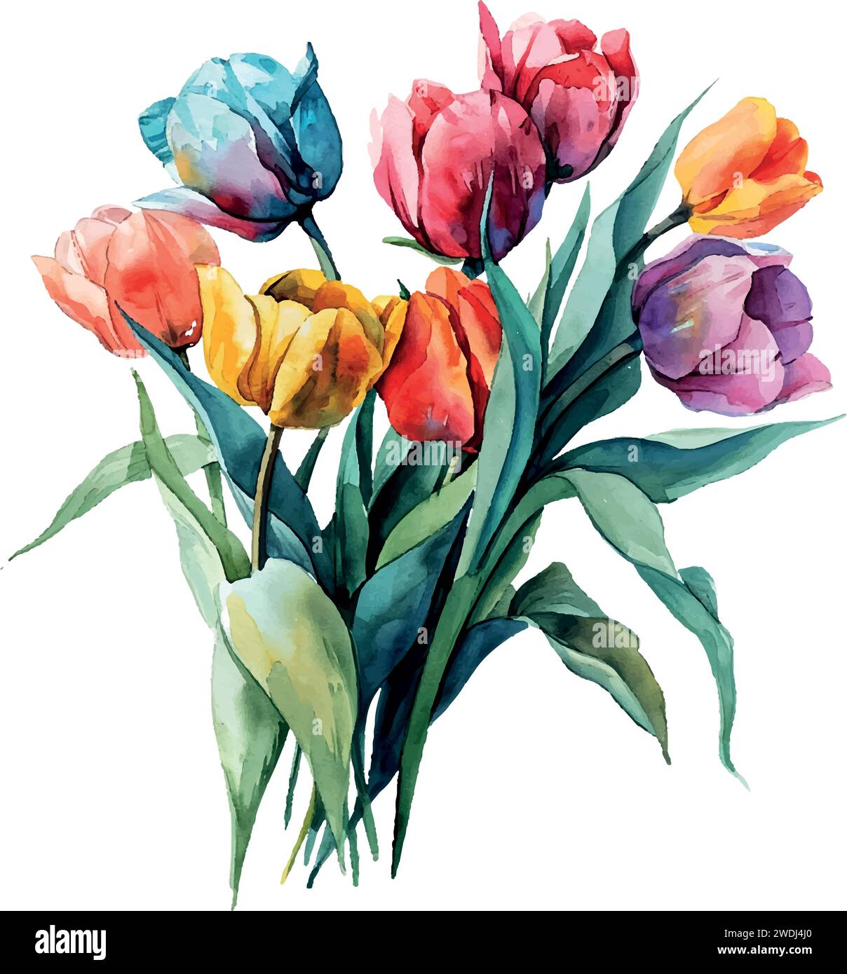 bouquet of tulips cartoon style watercolor illustration on white Stock ...