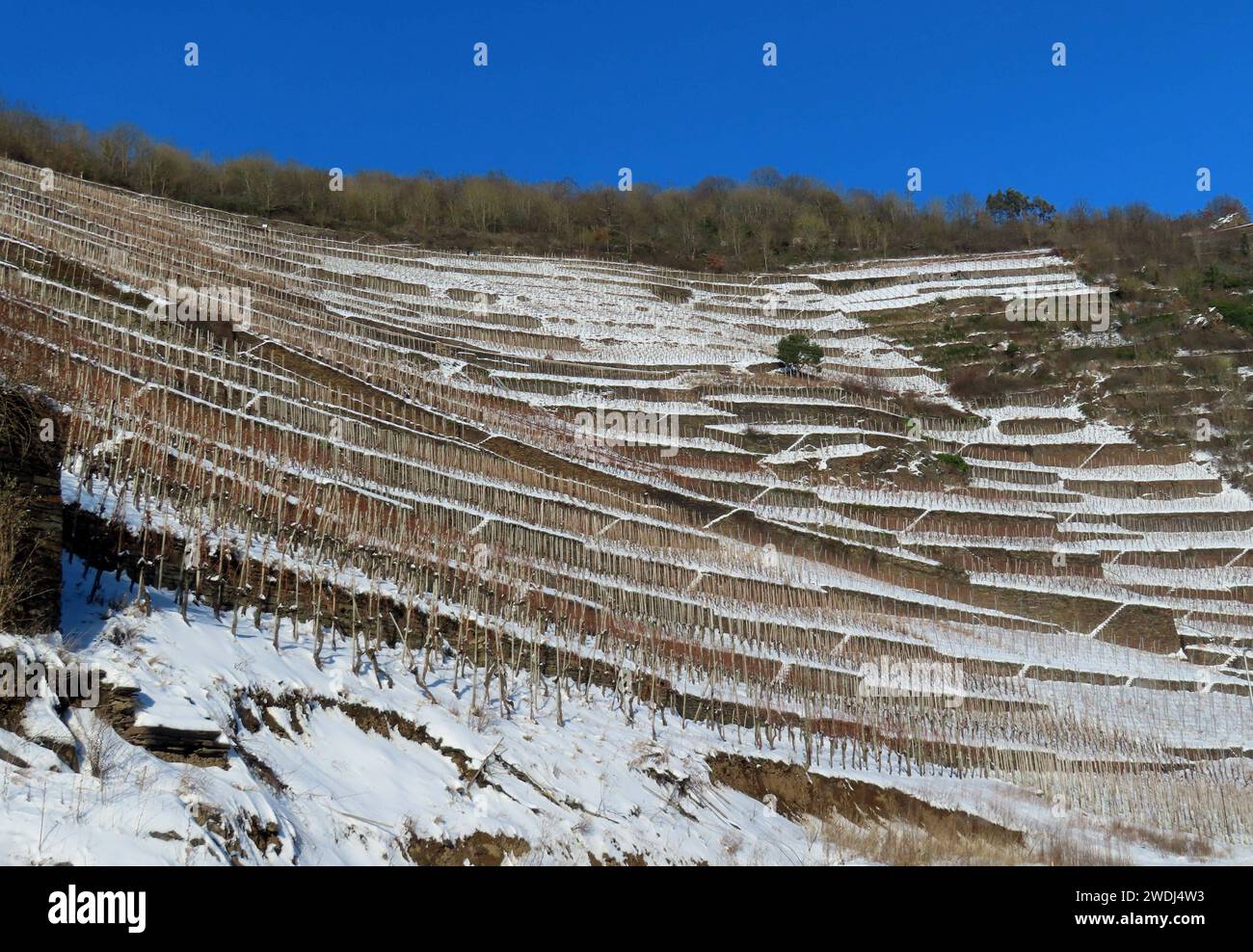 Arbeiten ahrtal hi-res stock photography and images - Alamy