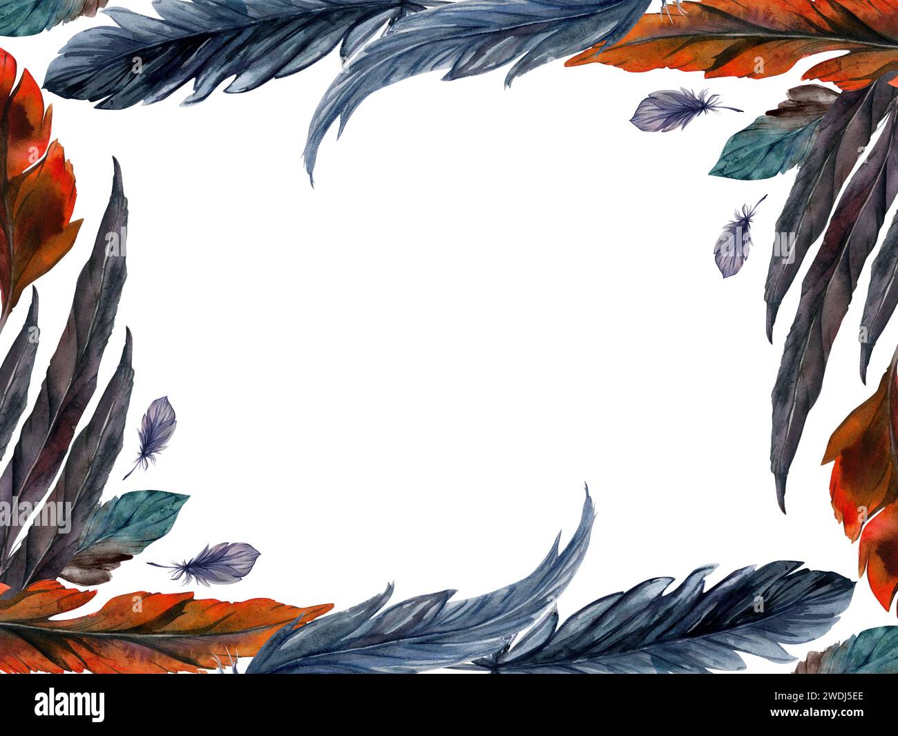 Hand drawn watercolor bird feather plume quill boho tribal ethnic ...