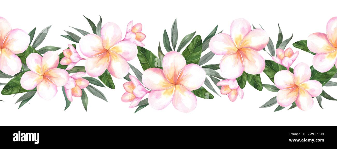 Watercolor border with plumeria. Summer background for design and ...