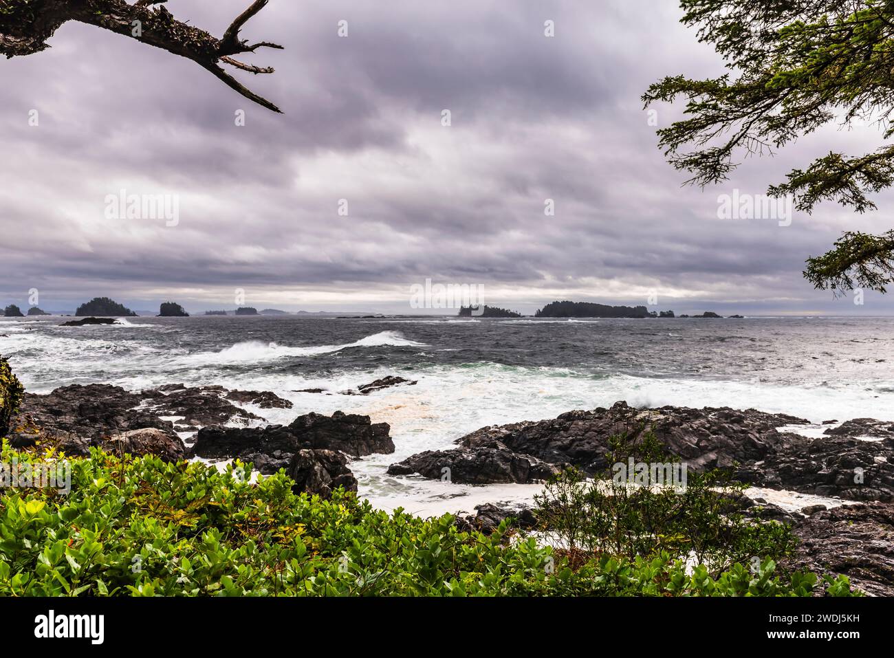 Waters edge ucluelet hi-res stock photography and images - Alamy