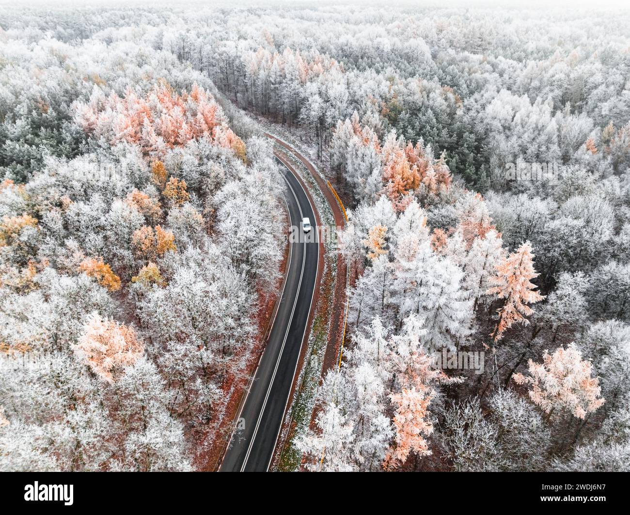 Car driving on black road through frozen forest with rime in winter ...