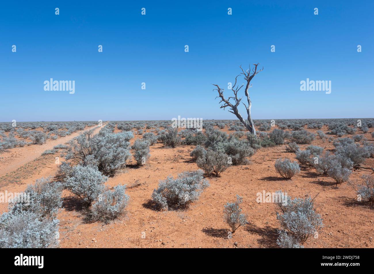 Plain scenery hi-res stock photography and images - Alamy