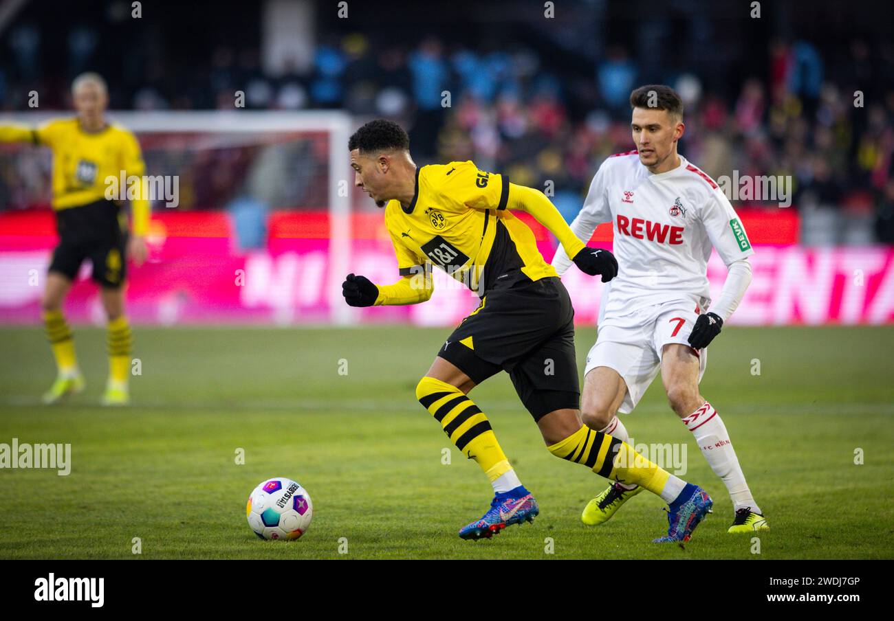 Cologne, Germany. 20th Jan 2024. Jadon Sancho (BVB) Dejan Ljubicic ...